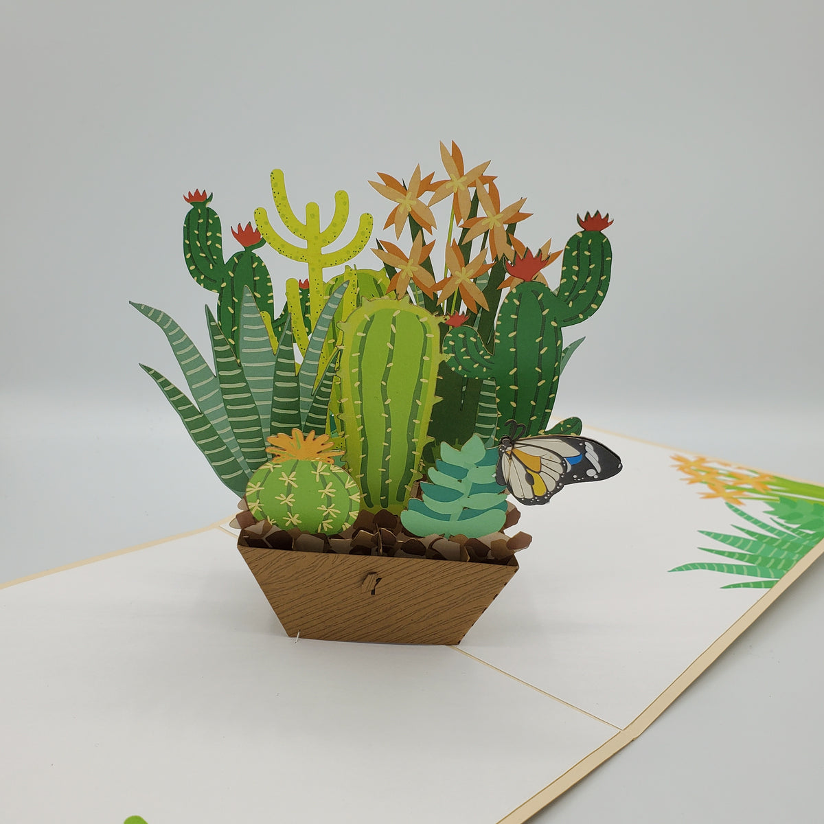 Cacti - Pop Up Card – Hanji Gifts
